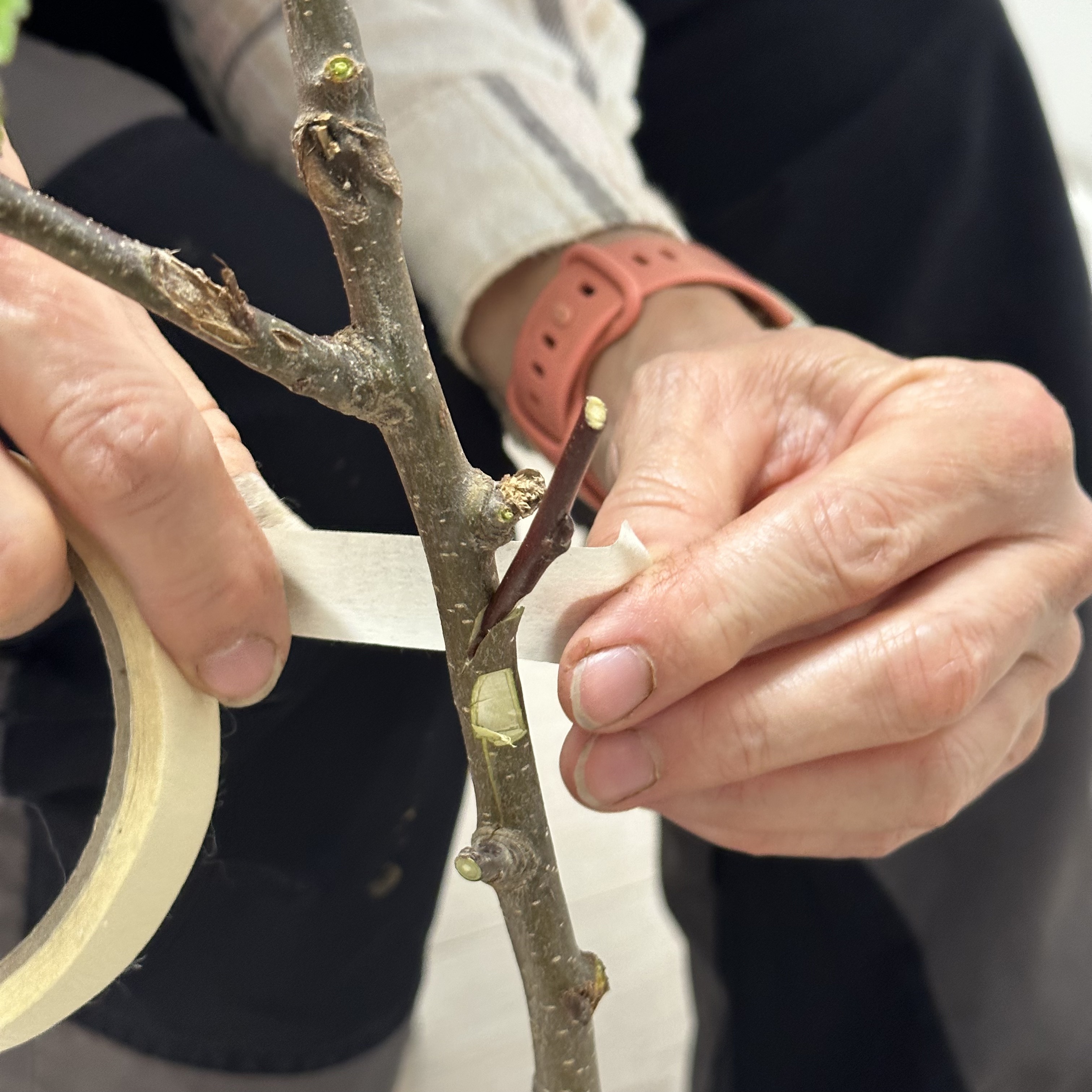 Poding til fornøyelse – Hovden Gård